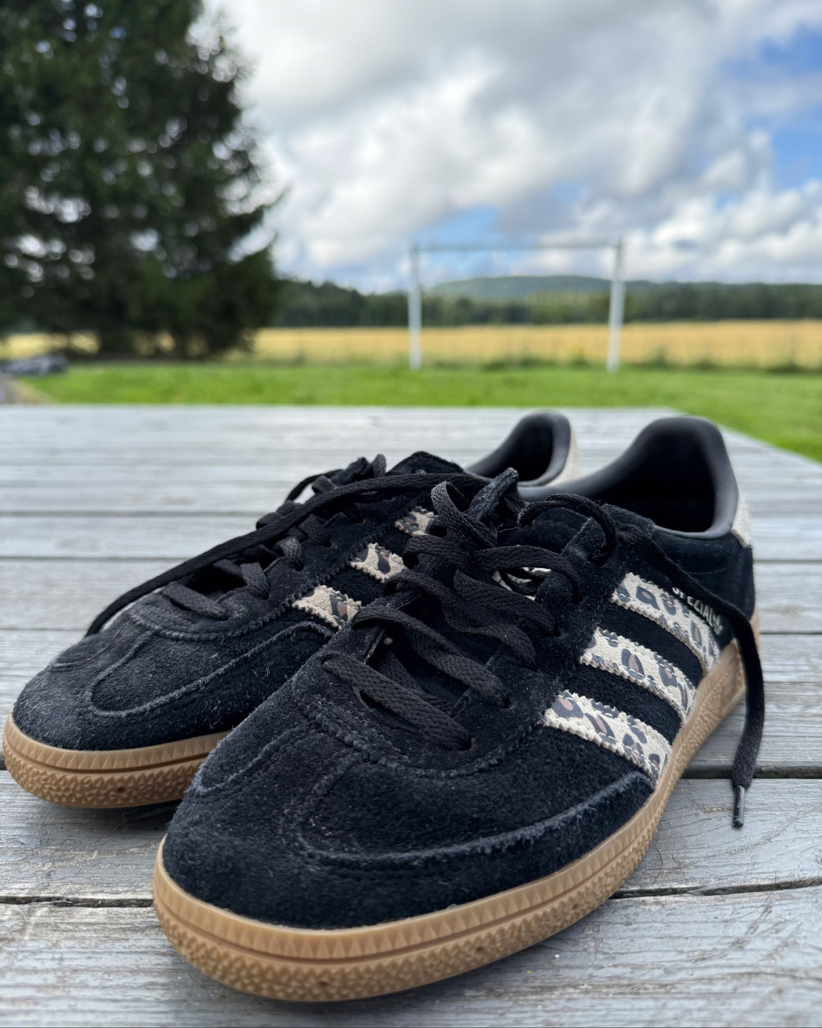 Addidas spezial · Tise